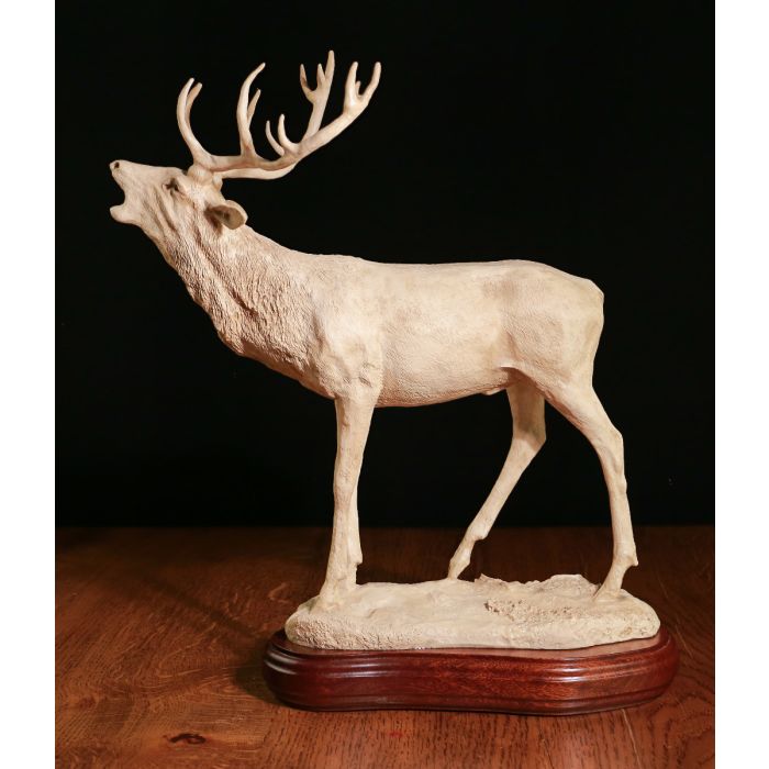 This is our old Stag sculpture called "Roaring Stag" in our Ivory ...